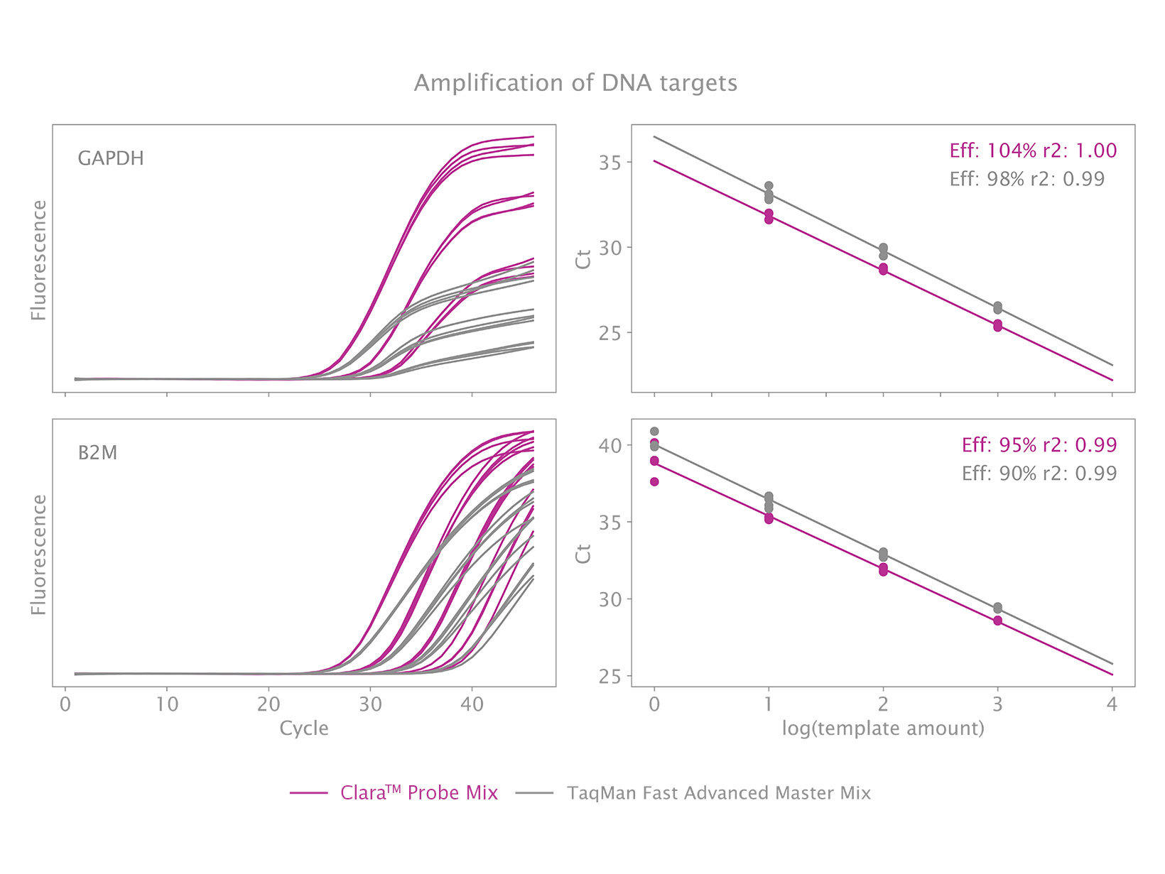 Clara™ Probe Purple Mix - Global Scientech Shop