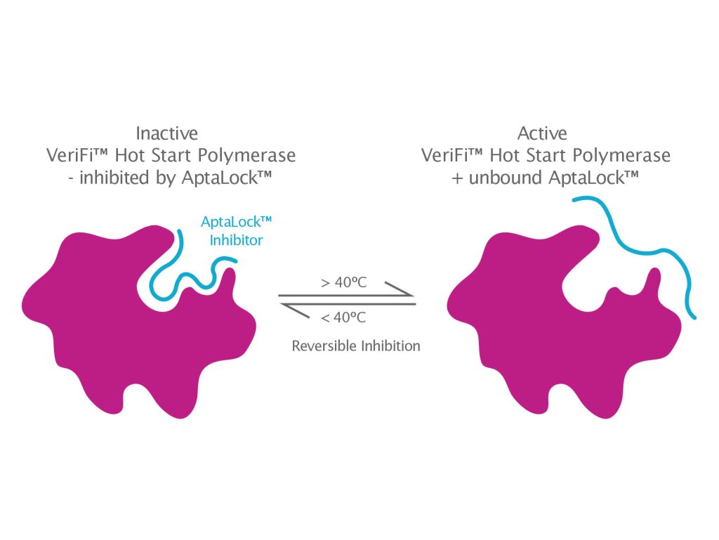 VeriFi® Hot Start Polymerase - Global Scientech Shop